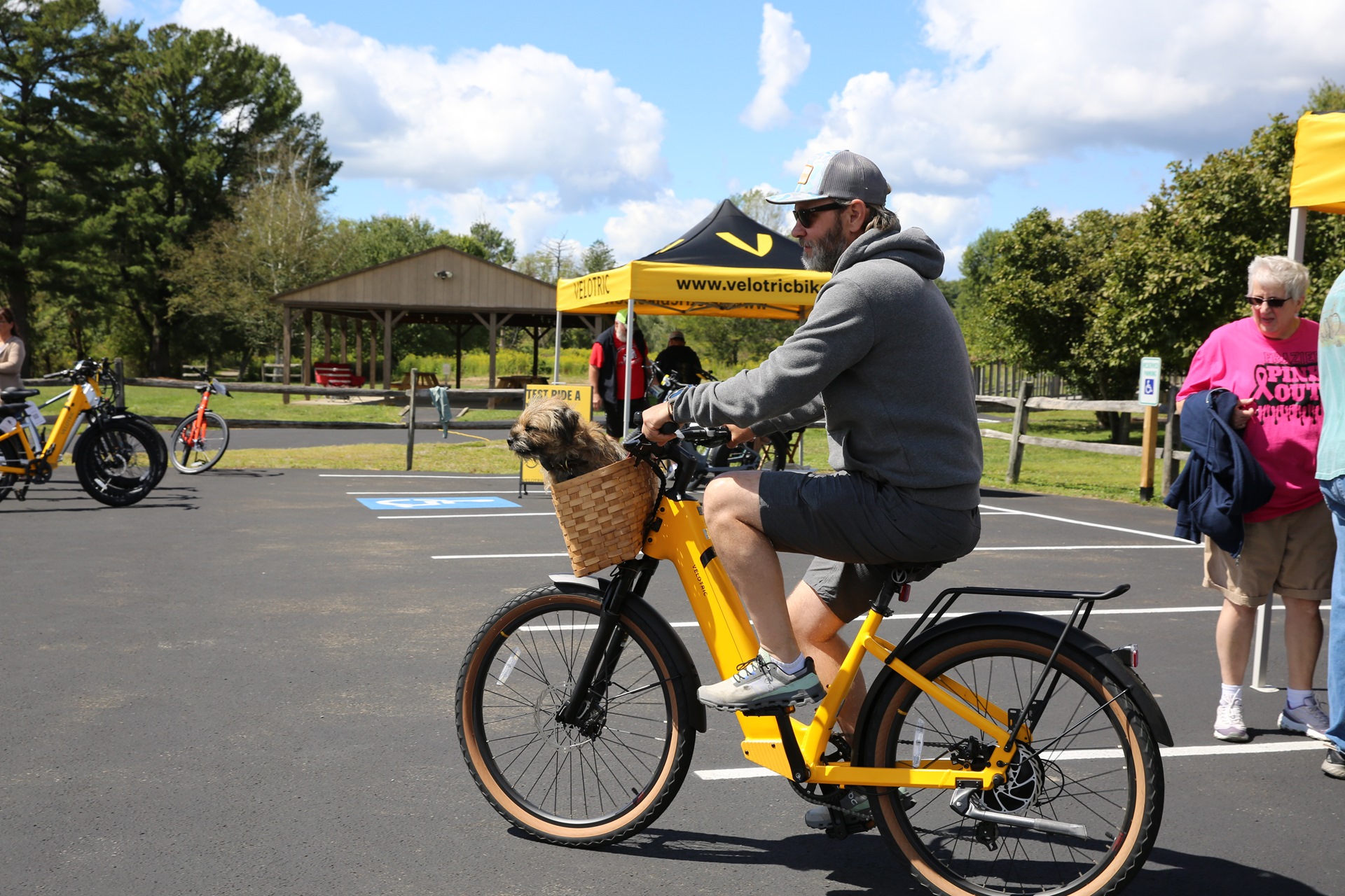 The Complete Guide to Choosing an Affordable Electric Bike - JoltBike ...